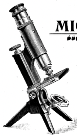 A close-up of an objectDescription automatically generated with medium ...