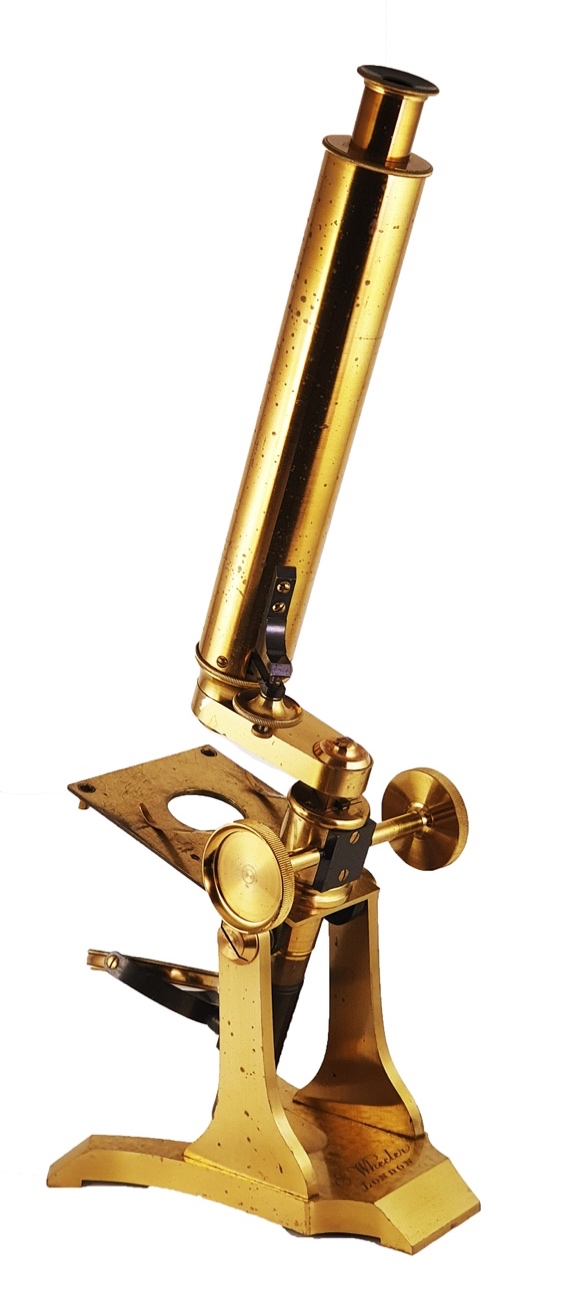 A picture containing drawingDescription automatically generated