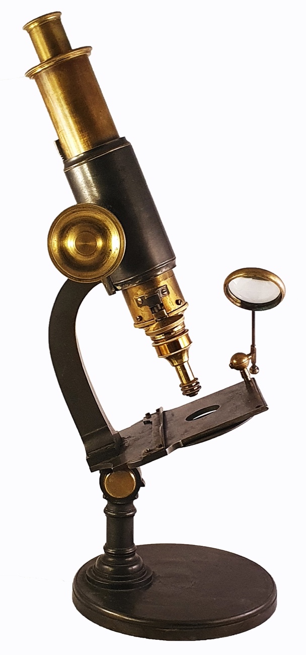 Microscópio 278 (WJ Salmon; microscópio de estudante; c. 1860)