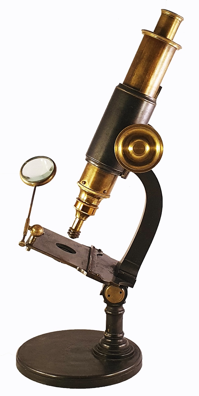 Microscópio 278 (WJ Salmon; microscópio de estudante; c. 1860)